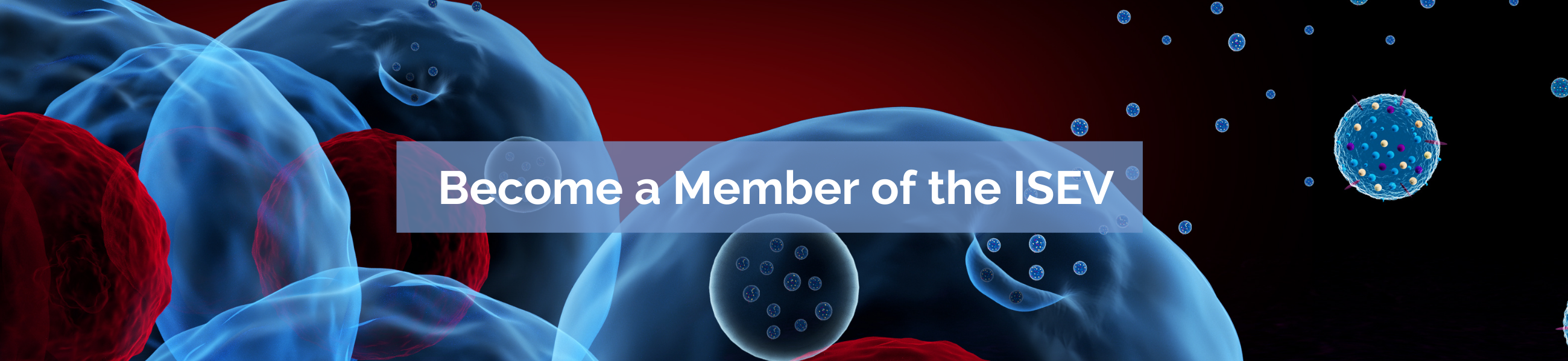 Home [www.isev.org]